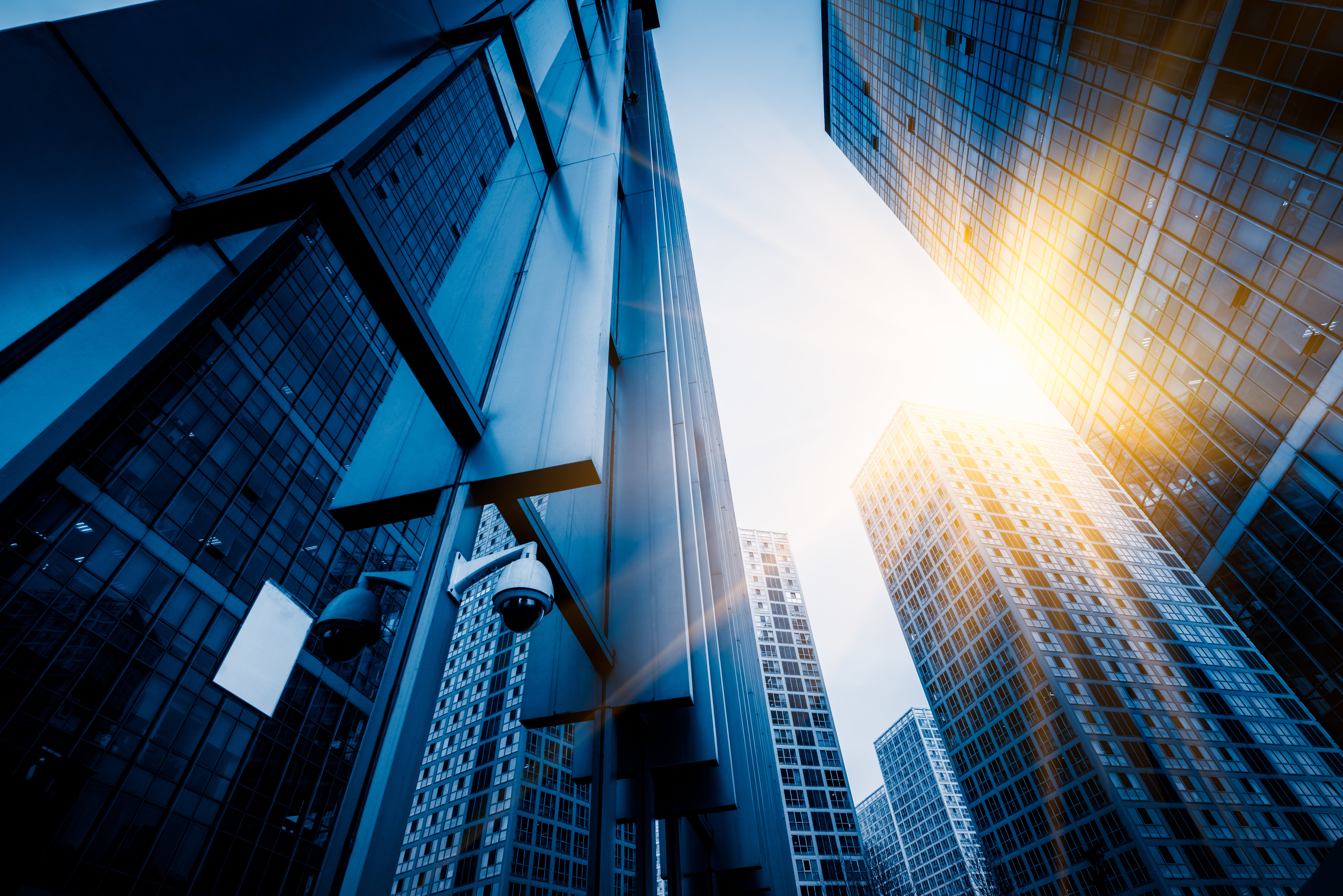 Captive Insurance: Everything You Need To Know | Risk Mgt. Advisors